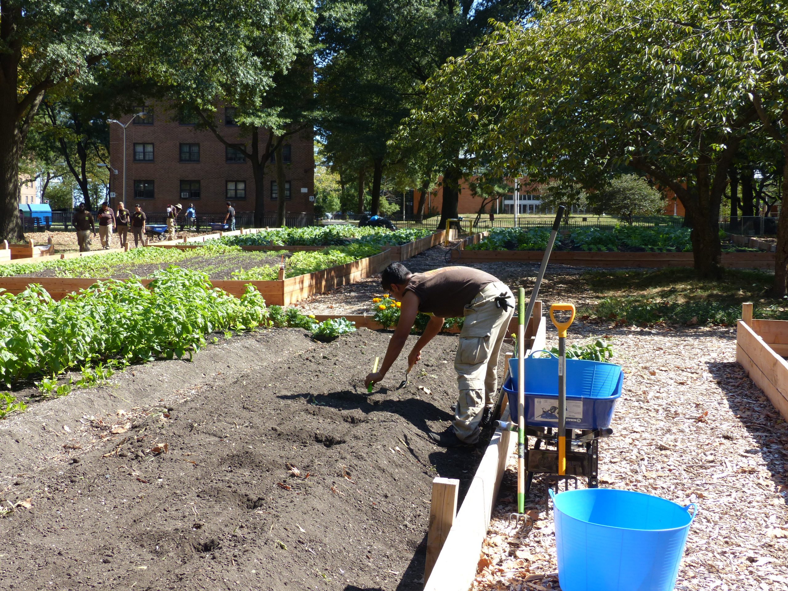 Bay View Houses Farm | GCF