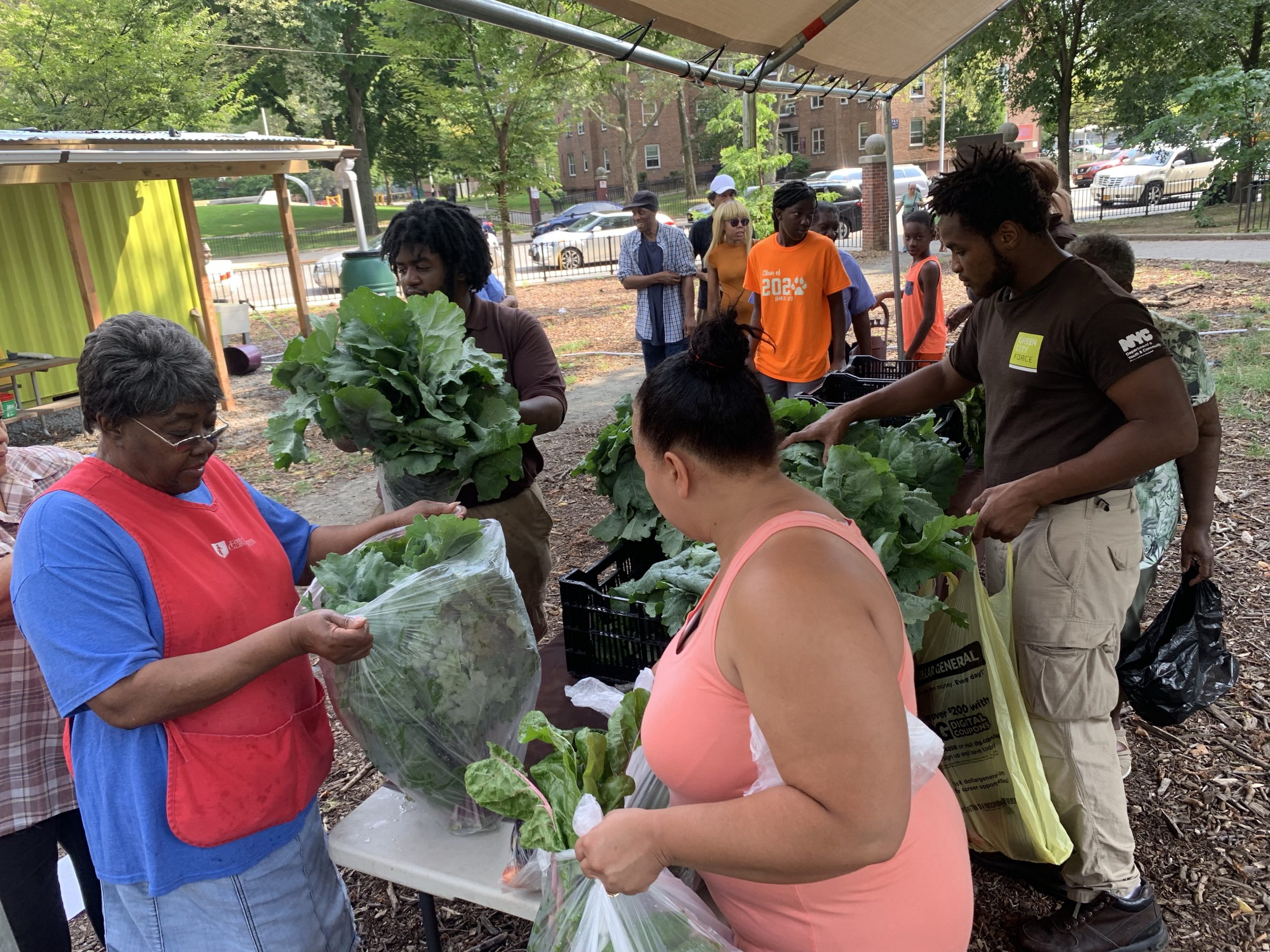 Forest Houses Farm | GCF