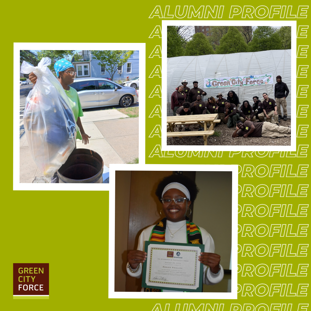 Alumni of the Month: Ashley Phillips | GCF