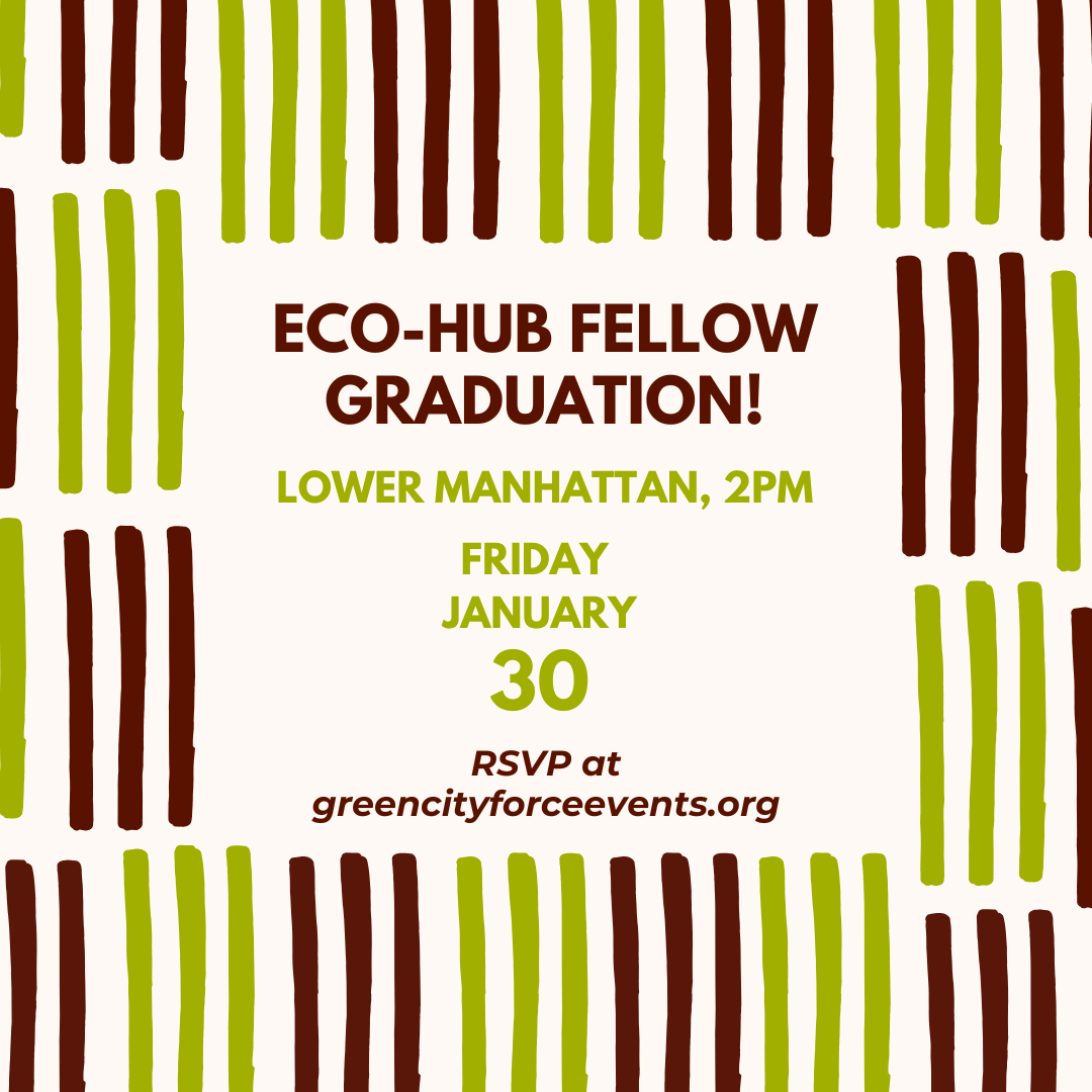 Join us in celebrating our Eco-Hub Fellows’ Graduation on Jan 30th! | GCF